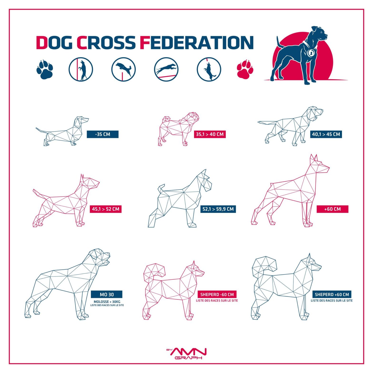 Règles – Dog Cross Federation