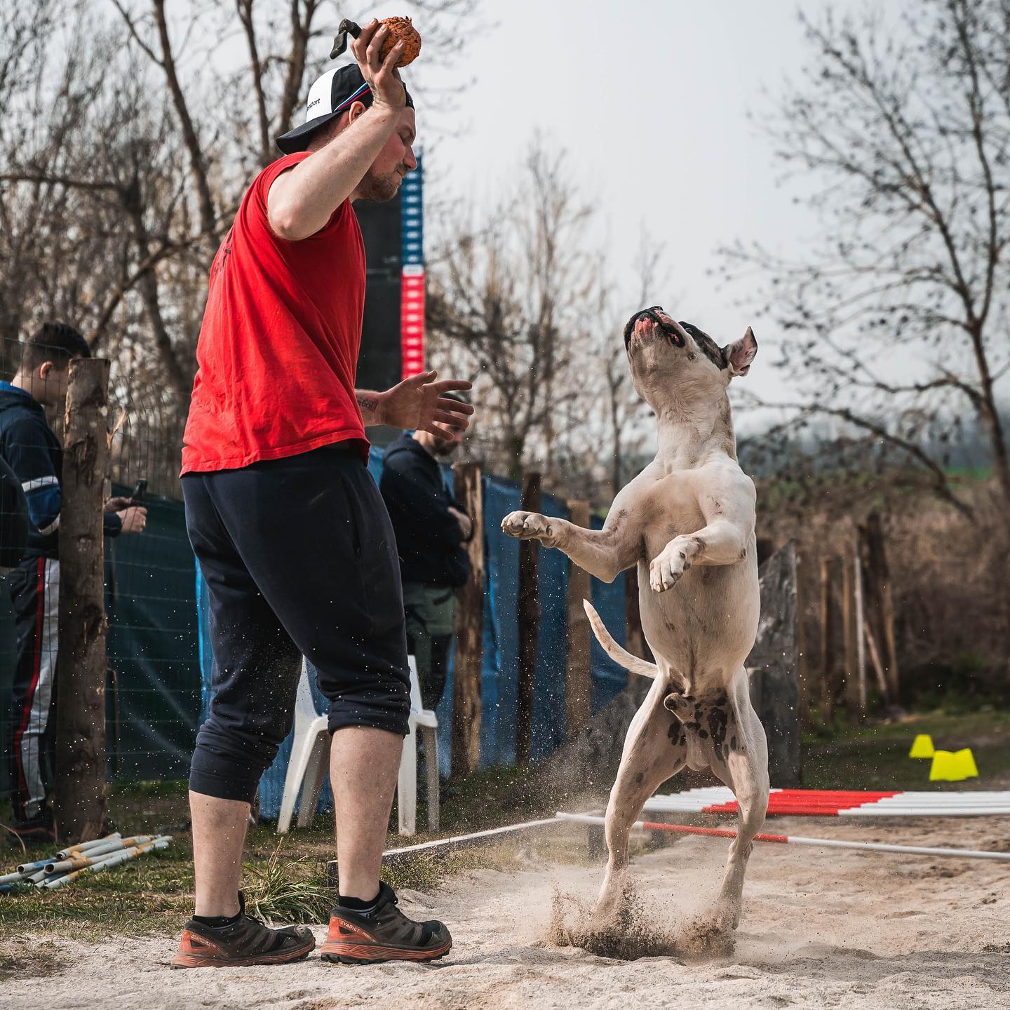 Grand Champion – Dog Cross Federation